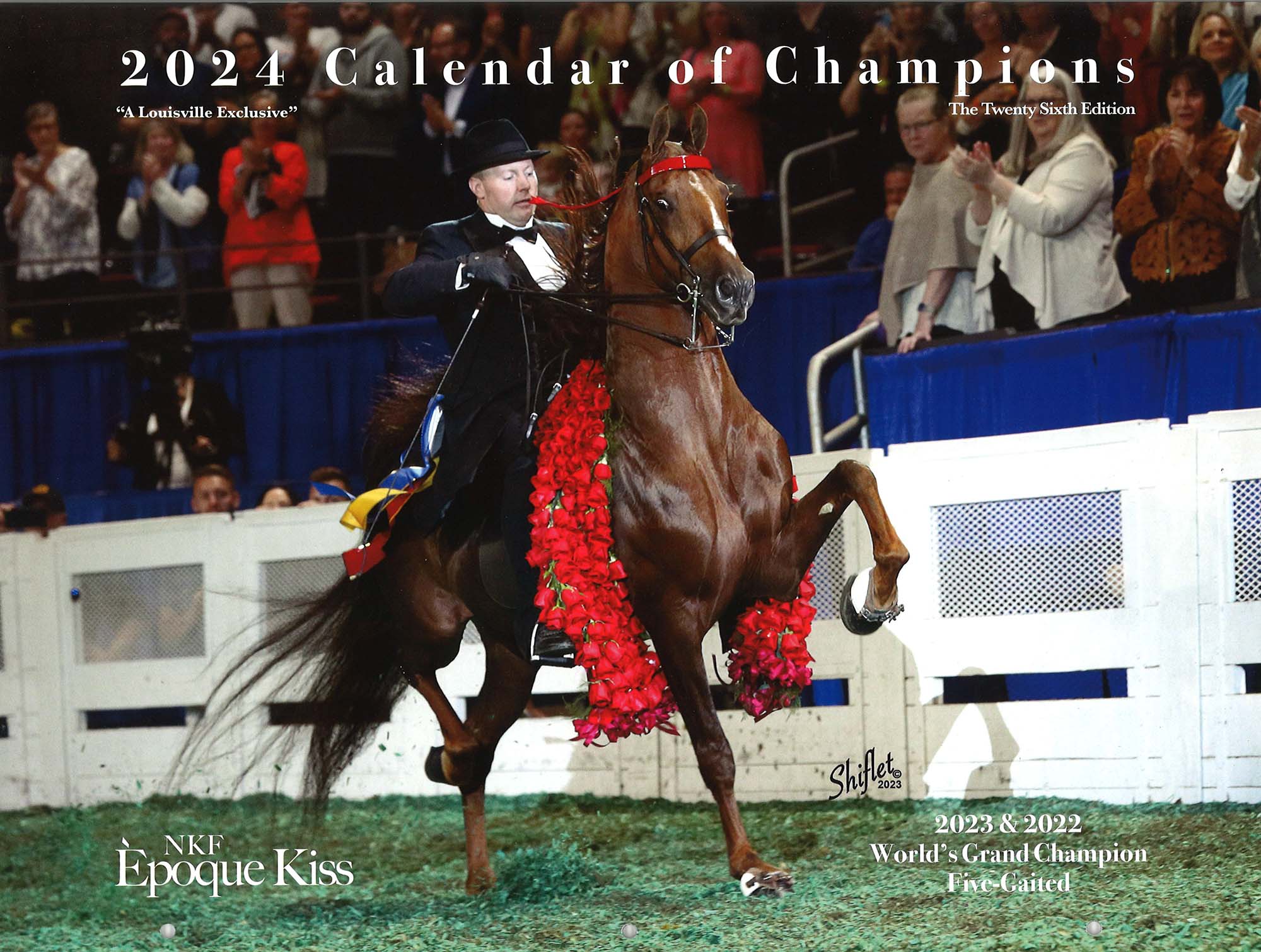 New Arrivals – American Saddlebred Museum